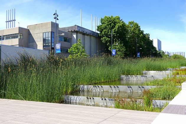 The 10 Best Colleges In British Columbia Collegegazette the-10-best-colleges-in-british-columbia-collegegazette
